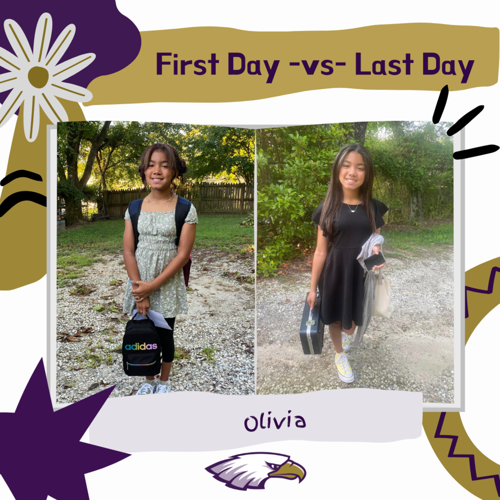 Live Feed | Prince Edward County High School